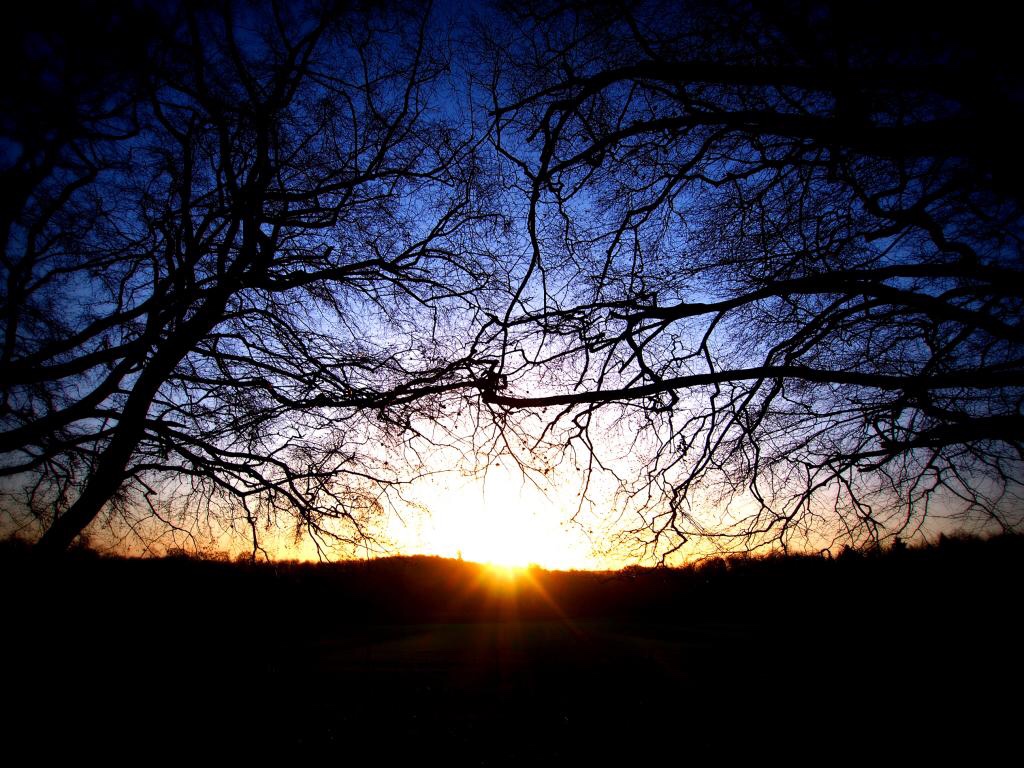 First Light – Bread for the Journey